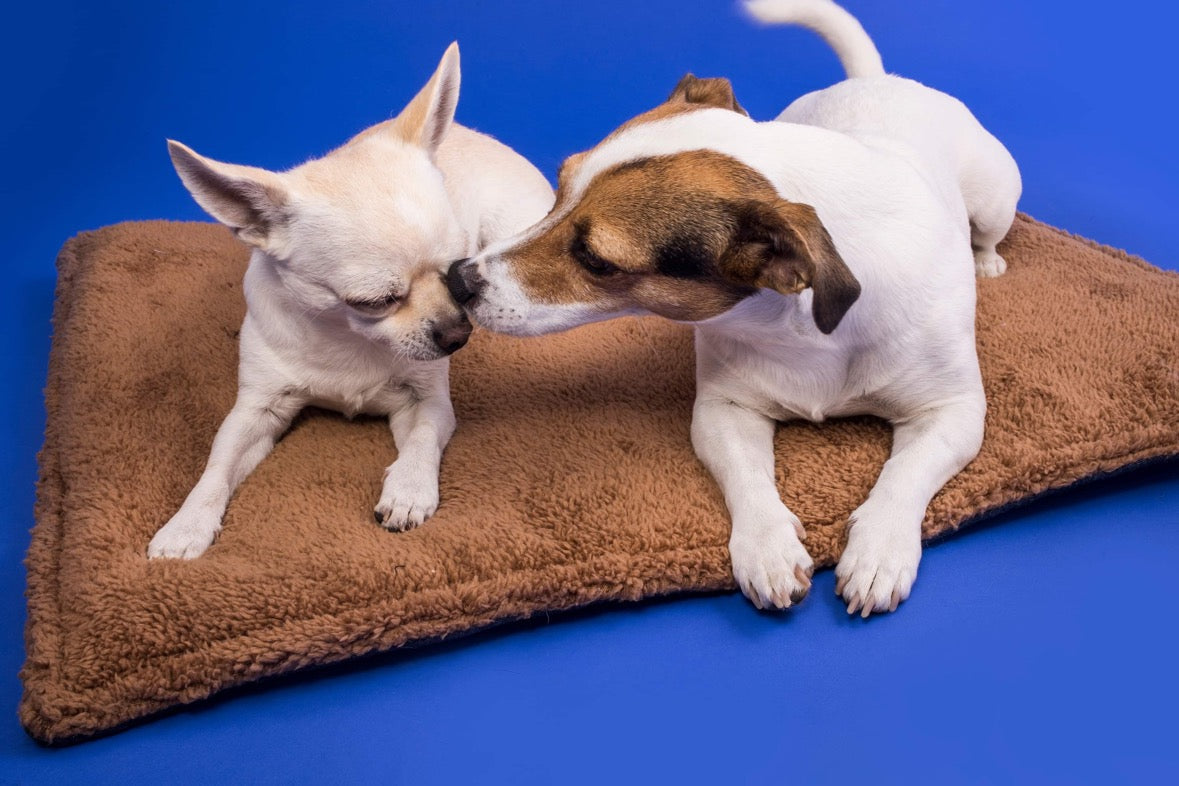 Tail Wag | Roll up dog mat