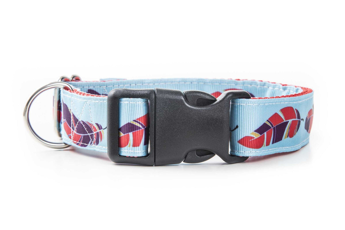 Samoa Dog Collar | Tail Wag